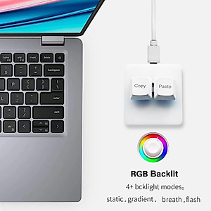 BTXETUEL Copy and Paste 2-Key Keyboard SAYO OSU Keypad Hotswap One Handed Mechanical Gaming Keyboard Cherry Switch RGB Backlit Mini USB Keypad for macros or Rhythm Games