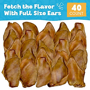 FETCHERONI Whole Pig Ears for German Shepherd Dogs Large - 40 Pack Long Lasting Dog Chews – Dog Treats One Ingredient Delicious All Natural Flavor – Easy to Digest Dog Treats for Large Dog