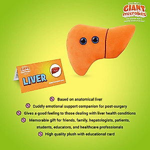GIANTmicrobes Stuffed Liver Plush, Liver Stuffed Animal, Anatomical Liver, Hepatologist Gift, Liver Transplant Gifts, Hepatitis Gift, Hepatology Gift, Cirrhosis Gift, Liver Pillow, Liver Donor Gift