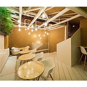 Dimmable E12 Candelabra Base led Edison Bulb, G16.5 Mini Globe Bulb 6W Daylight 5000K 60Watt Equivalent 600lm for Chandeliers,Ceiling Fan and Vanity, 5 Pack