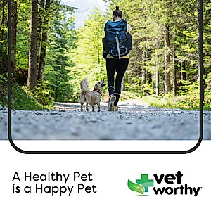 Vet Worthy Kennel Cough Drops for Dogs - Dog Supplement for Dry Kennel Cough Relief - Dog Cough Remedy with Drosera Rotundifolia, Arsenicum Album, Spongia Tosta - 0.5oz