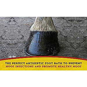 Dr. Naylor Hoof 'N Heal, Hoof Rot Foot Rot Wound Care, 16oz, Sheep Goat Cow Horse, 1-pack