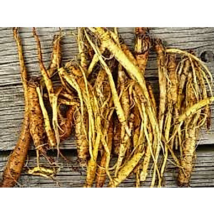 (Spoken of by Dr. Sebi) Bio Iron/Herbal Iron- 100 Capsules