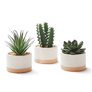 ASTRIDIA Artificial Succulent Plants in Ceramic Pots, Faux Assorted Succulents Fake Cactus Plants for Home Decor, Bedroom, Office, Desk, Living Room, Set of 3…