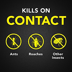 Raid Ant and Roach Killer, Lemon Scent, 17.5 OZ (Pack of 12)