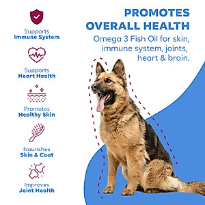 Omega 3 Fish Oil for Dogs - 120 SoftGels - Skin & Coat Supplement for Dogs, Supports Healthy Skin, Coat, Joints, Heart & Immune System, Premium Fish Oil Supplement for Dogs - Made in USA