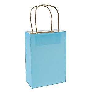 Light Blue Medium Craft Paper Bags (12 Pack)