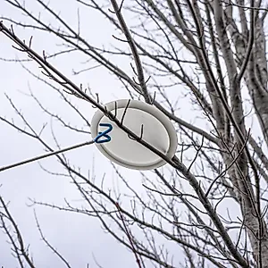 Dynamic Discs Dynamic Retriever | Telescoping Disc Golf Retriever | Disc Golf Grabber Tool with Hook | 16' Telescoping Ability | Frisbee Retrieving Device | Great Disc Golf Accessories |