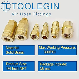 TL TOOLEGIN Air Hose Fittings 1/4" Air Coupler & Plug Kit,36 Pieces Quick Connect Air Compressor Accessories W/Storage Case 300 Psi