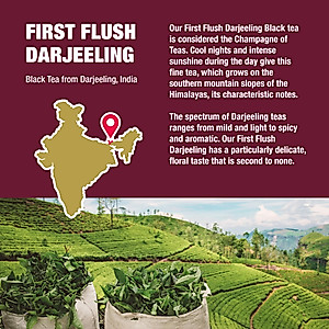 Tiesta Tea - First Flush Darjeeling Black Tea | Loose Leaf | Single Origin Premium Black Tea from India | Pure High-Caffeinated Blend | Makes Hot or Iced & Up to 50 Cups | 4oz Refillable Tin