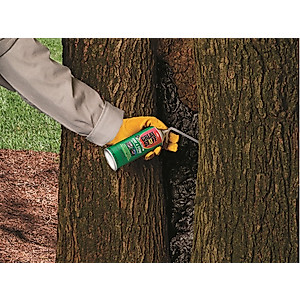 Great Stuff 283064 12OZ GS Pond&Stone Foam Sealant, Each, Black