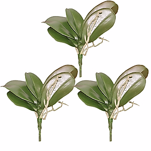 Qianmo Artificial Orchid Leaf Plants PU Latex Real Touch Faux Leaves Arrangement Home Décor Office Garden Bonsai Decoration Flowers (Big Size (3 Bunches))