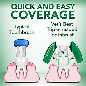 Vet’s Best Dog Toothbrush and Enzymatic Toothpaste Set | Teeth Cleaning and Fresh Breath Kit with Dental Care Guide | Vet Formulated