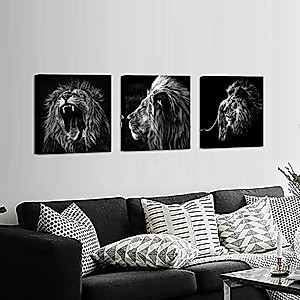 Kreative Arts - 3 Panels Lion King Black and White Canvas Prints Wall Art Modern Painting Wall Pictures for Living Room Office Decoration Ready to Hang (12x12inchx3pcs/set)
