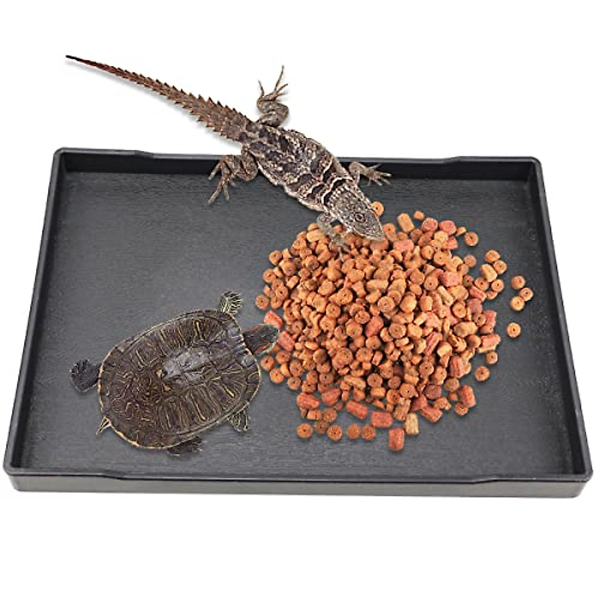 YOLUFER Reptile Food Water Bowl Plate Dish for Tortoise Crawl Pet Drinking and Eating Hallow Water Dish for Reptiles (Size3-L)