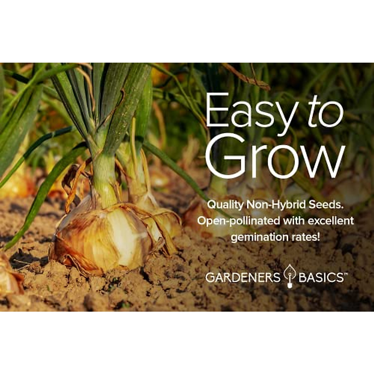 Onion Seeds for Planting - 8 Long and Short Day Varieties Yellow, Red, White, Sweet and Green Onions for Summer, Fall, Onion Seed by Gardeners Basics