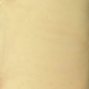 EternaBond RoofSeal Tan 2" x50' MicroSealant UV Stable RV Roof Seal Repair Tape | 35 mil Total Thickness - EB-RT020-50R - One-Step Durable, Waterproof and Airtight Sealant