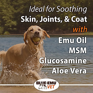 Blue Emu Vet Skin & Joint Soothing Cream - Deep Hydration & Joint Support for Your Furry Friends - 12 oz