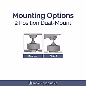 Prominence Home 51461-01 Orbis Ceiling Fan, 52, Matte Black