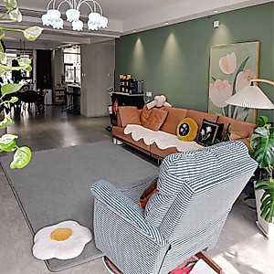 DweIke Modern Area Rugs for Bedroom Living Room, 4x6 ft Grey Thickened Memory-Foam Indoor Carpets, Minimalist Style Carpet Suitable for Boys Girls and Adults with Super Soft Touch, Washable, Grey