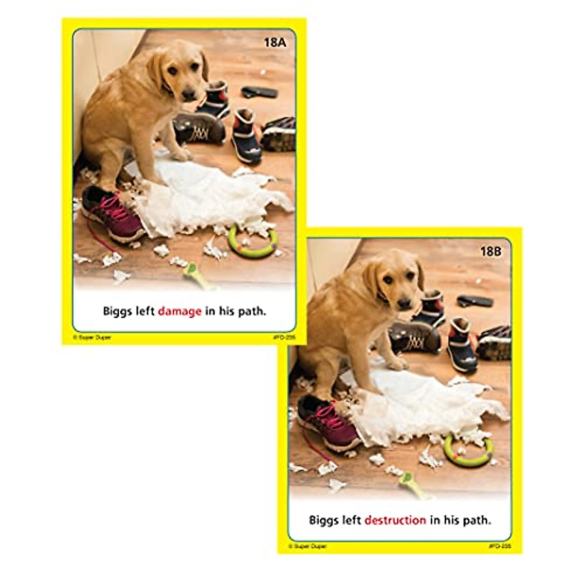 Super Duper Publications | Photo Synonyms Fun Deck Flash Cards | Educational Learning Resource for Children