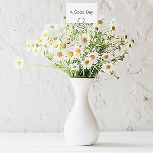 Kisangel Wedding Picture Frame 30Pcs Metal Wire Floral Place Holder Swirl Round Photo Memo Holder Pick Picture Note Clamp for Wedding Party Birthday Office DIY Favor Cable Clip