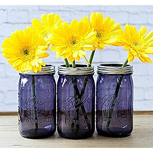 Ball Jar with Lid and Band - Pick Your Size and Color (Purple, Wide Mouth Quart - 32 oz.)