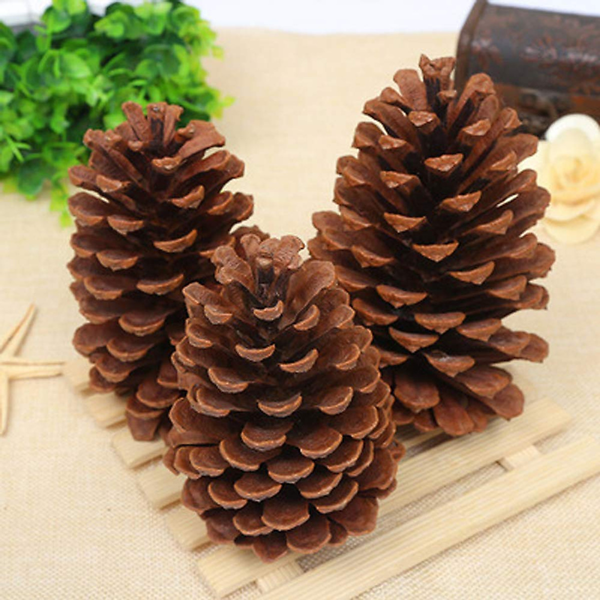 Pine Cones 3.5" to 4.7" Tall Christmas PineCones Giant Large Natural Pinecones for Home Accent Decor, 4 PCS, Bug Free (Large PineCones)