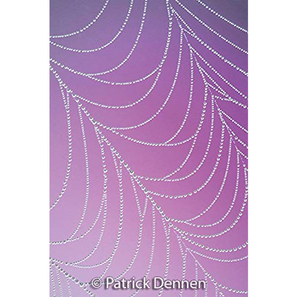 Sierra Club Engagement Calendar 2021