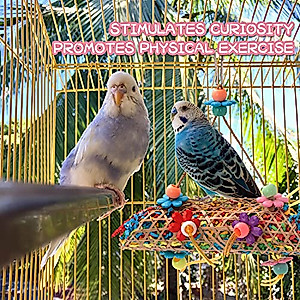 RLRICH 6 Pack Bird Colorful Chewing Toys Parrot Foraging Shredder Toys Shred Hanging Foraging Toys,Comfy Perch Parrot Toys for Rope Bungee Bird Toy