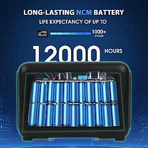 ODEER Portable Power Station, 285Wh Portable Solar Generator Portable Power Station 300W with AC Input, 2*DC 120W Output, 2* USB-A Output, LED Light for Outdoor Camping