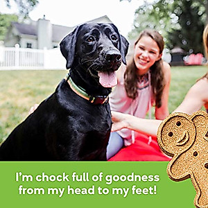 Buddy Biscuits Grain Free Soft & Chewy Dog Treats, Small Dog or Large Dogs Training, Healthy Roasted Chicken 5 oz.