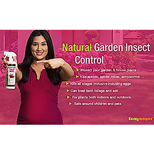 EcoVenger (Formerly EcoRaider) Garden Insect Control 16OZ, Plant Extract Based, Indoor & Outdoor, Kills Aphids, Mealybugs, Spider Mites and Gnats All Stages and Eggs, Non-Toxic Child & Pets Safe