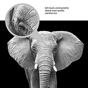 Amagical Elephant Art Black and White Photography 16 Piece Shower Curtain Set Bath Mat Set Non Slip Bathroom Mat Contour Rug Mat Toilet Cover Shower Curtain with 12 Hooks