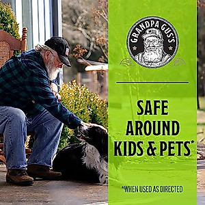 Grandpa Gus's Extra-Strength Mouse Repellent, Cinnamon/Peppermint Oils Repel Mice from Nesting & Freshen Air in Car/RV/Boat/Garage/Shed/Cabin, 1.75 Oz (10 Pouches)