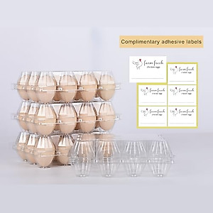 Gorander Clear Plastic Egg Cartons 60 Packs,Egg Tray Safely Holds 12 Egg，With Labels,Perfect For Refrigerator Chicken Farm Markets- Medium sized