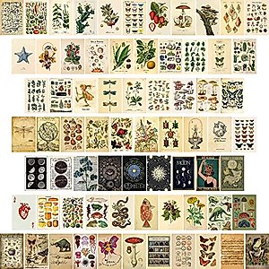 Arisaniasion Vintage Wall Collage Kit Aesthetic Pictures, 70 Set 4x6 Inch Trendy Small Poster for Dorm, Bedroom Decor for Teens Girls Boys,Dorm Room Decor