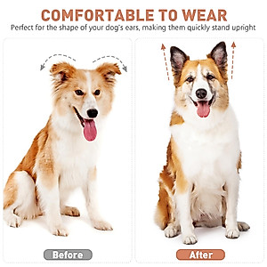 Hohopeti Sticker Holder 1 Set Dog Ear Plastic Dog Ear Support Dog Ear Posting Kit Puppy Ear Standing Tape Doberman Ear Posting Dog Ear Stand up Support Puppy Ear Support Tape Pet