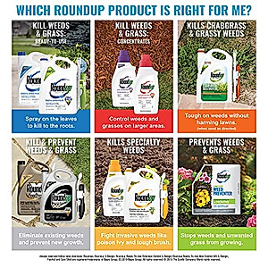 RoundUp 5100110 Weed and Grass Killer III Ready-to-Use Pump 'N Go Sprayer, 1.33 Gallon