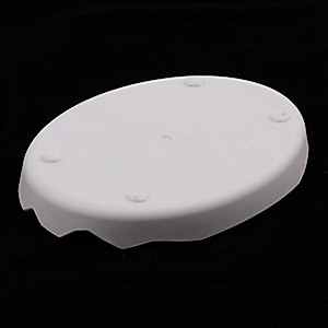 SGerste Shallow Reptile Amphibians Food and Water Dish Small Pets Corner Feeding Bowl for Mini Pets Reptile Turtle Tortoise Lizard Spider Scorpion - Small Eggshell