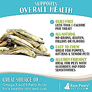 Raw Paws Pet Freeze Dried Minnows for Dogs & Cats, 2-oz - USA Fish Dog Treats - All Natural, Single Ingredient Minnow Cat Treats - Raw Freeze Dried Dog Snacks - Grain Free Cat Reward
