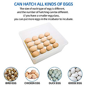 Safego 16 Eggs Incubator for Hatching Eggs, Digital Mini Incubator with Automatic Turner and Egg Candler Tester for Hatching Chicken Duck Quail Bird Eggs