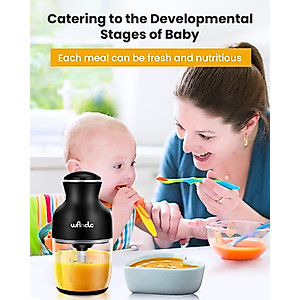 Wancle Food Processors, Multi-Functional Food Chopper, Meat Grinder & Veggie Chopper, Quiet, 600ML Glass Bowl Baby Food Maker, One-Touch Operation, 350W, Three-layer Blade(Black)