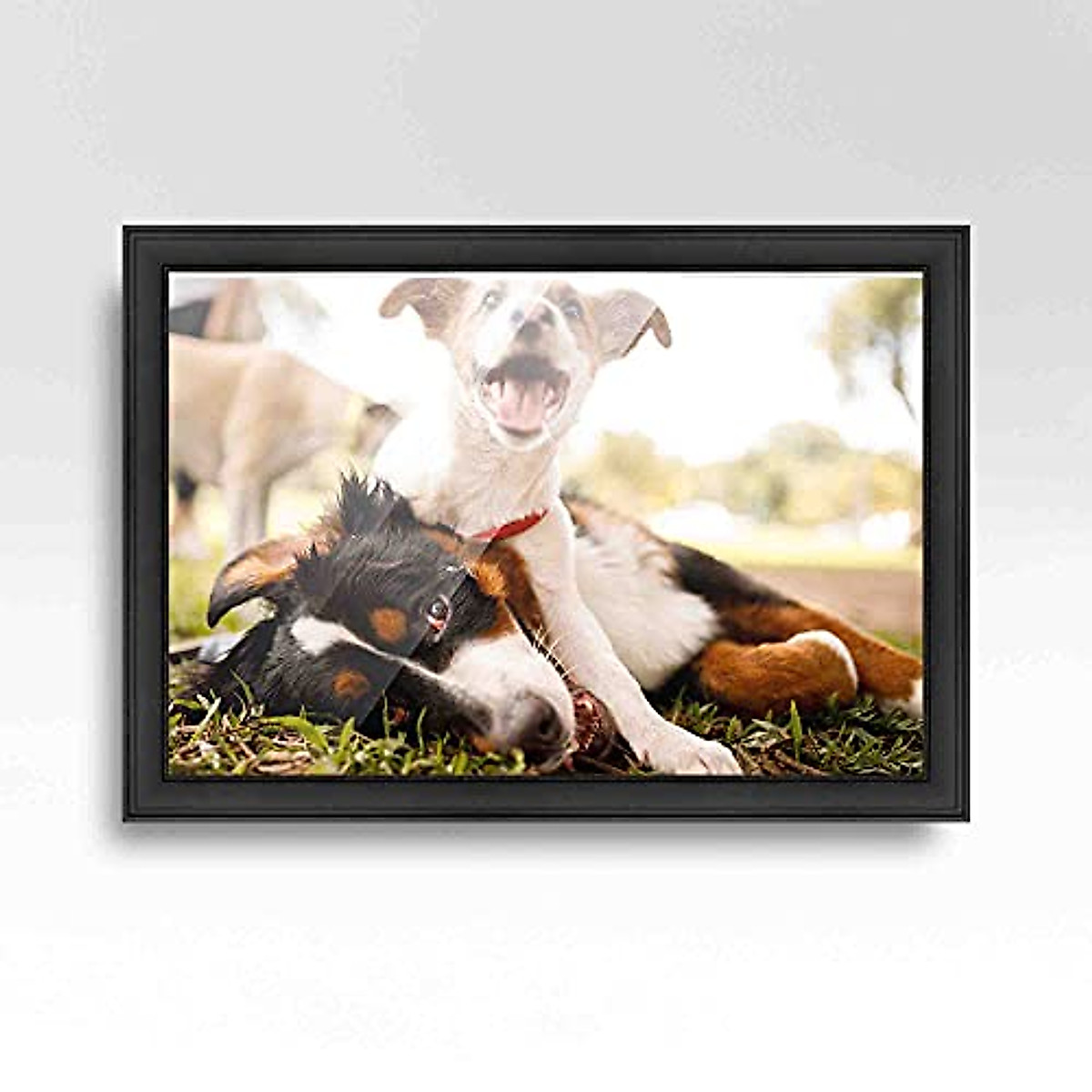 19x45 Frame Black Real Wood Picture Frame Width 1.25 Inches | Interior Frame Depth 0.5 Inches | Garrin Black Traditional Photo Frame Complete with UV Acrylic, Foam Board Backing & Hanging Hardware