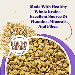 Halo Holistic Cat Food Dry, Cage-free Chicken Recipe, Complete Digestive Health, Dry Cat Food Bag, Adult Formula, 6-lb Bag