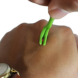 TickCheck Tick Remover Value 3 Pack - Tick Remover Tools + Tick Identification Card - for Humans, Dogs & Cats (1 Set)