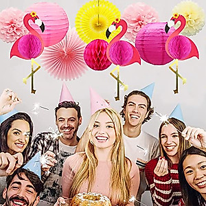 Flamingo party Beehive decorative set, Happy Birthday banner with paper lanterns, holiday party supplies, paper fan paper flowers Hawaiian beach Hawaiian party birthday wedding photo background