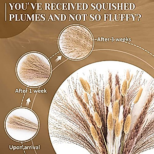 Der Rose 17 Inches Dried Pampas Grass for Boho Bathroom Bedroom Kitchen Living Room Office Home Room Fall Decor Aesthetic