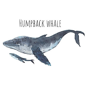 Humpback Whale Wall Decals Marine Animal Stickers Peel and Stick Art Mural Decor for Home Office Dorm Party Nursery