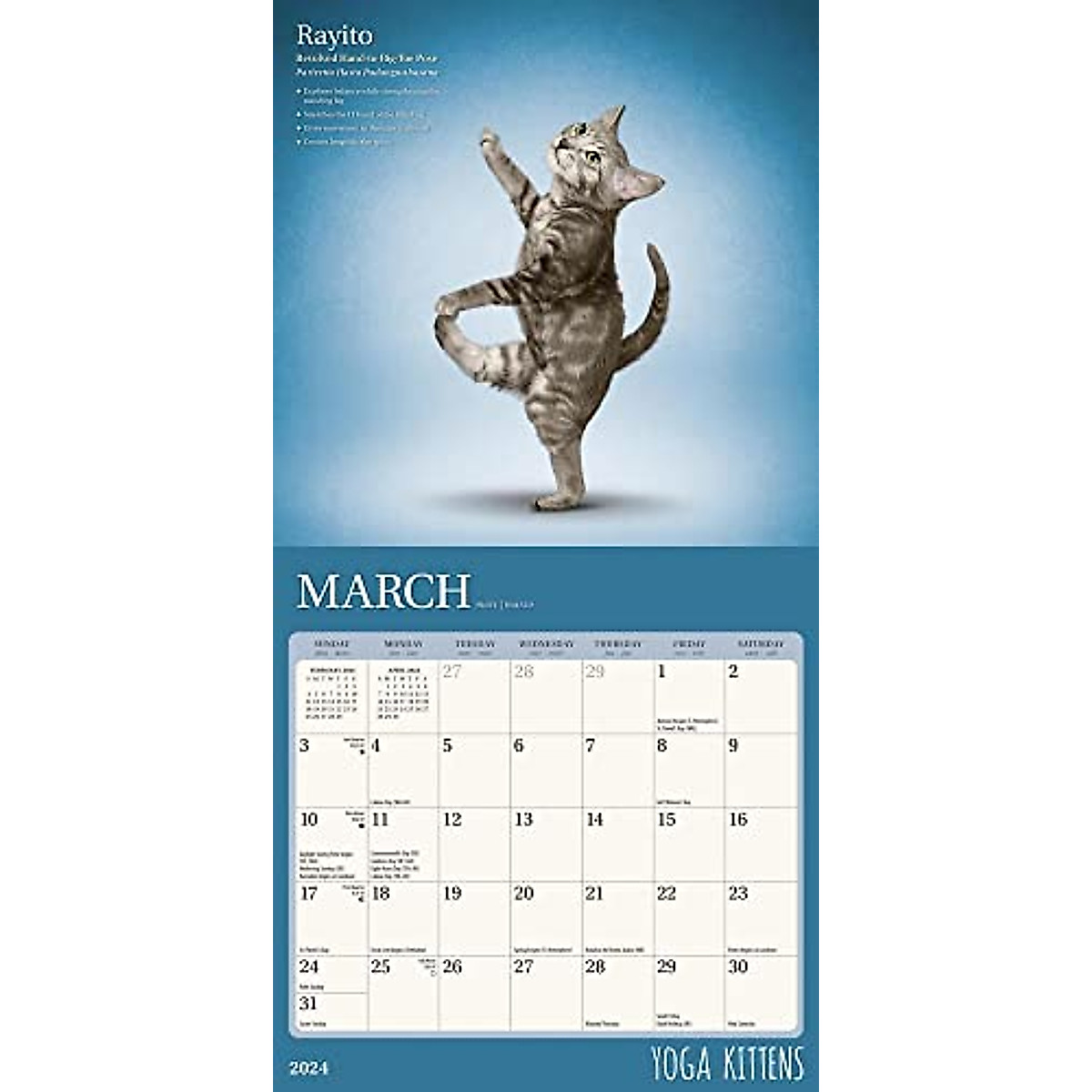 Yoga Kittens OFFICIAL | 2024 7 x 14 Inch Monthly Mini Wall Calendar | BrownTrout | Animals Humor Cats Feline